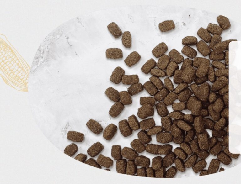 ELMO（エルモ）の口コミは？特徴やメリット・デメリットも徹底解説 – Homeee Pet