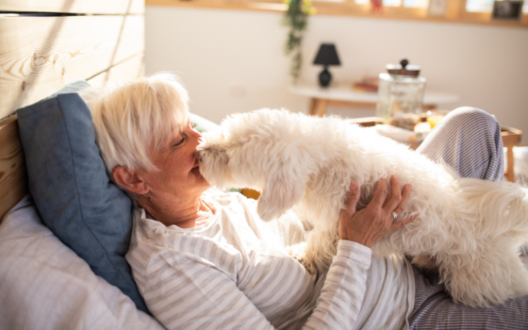犬がしつこく顔をなめる5つの理由！愛情表現からストレスの可能性まで徹底解説！ – Homeee Pet